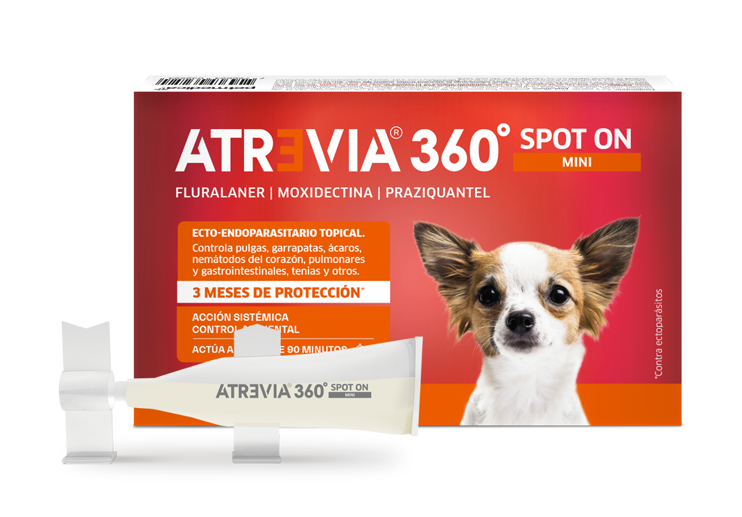 Atrevia 360® Spot On Mini | Topical Antiparasitic | Agrovet Market