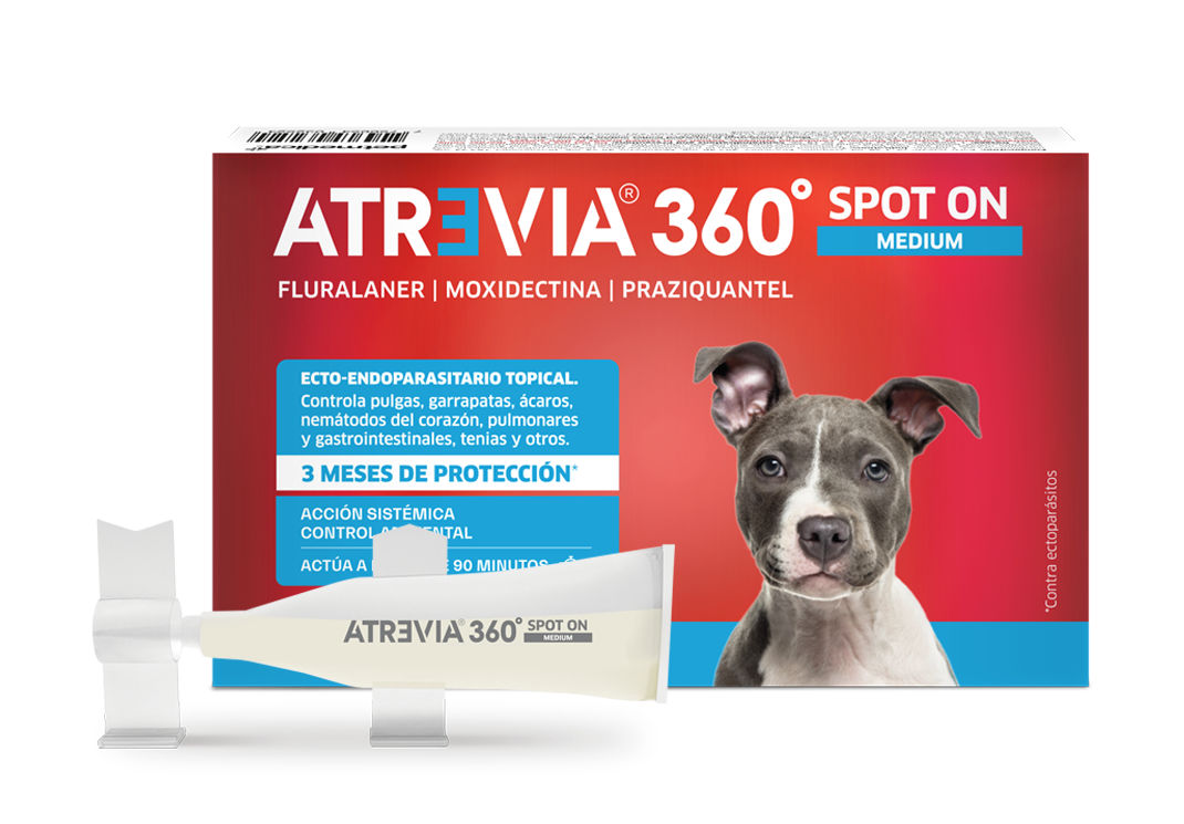 Atrevia 360® Spot On Medium | Topical Antiparasitic | Agrovet Market