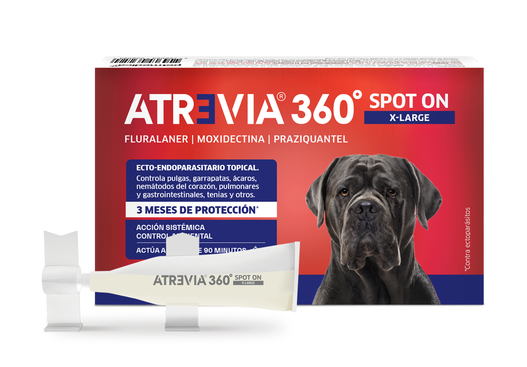 Atrevia 360® Spot On X-Large | Topical Antiparasitic | Agrovet Market